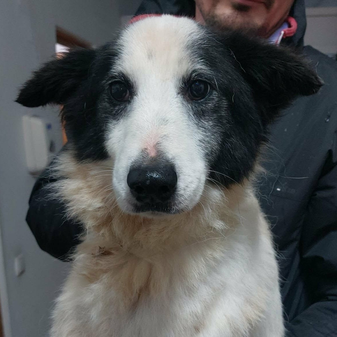 Chloe (25-421) - Amazing Friends